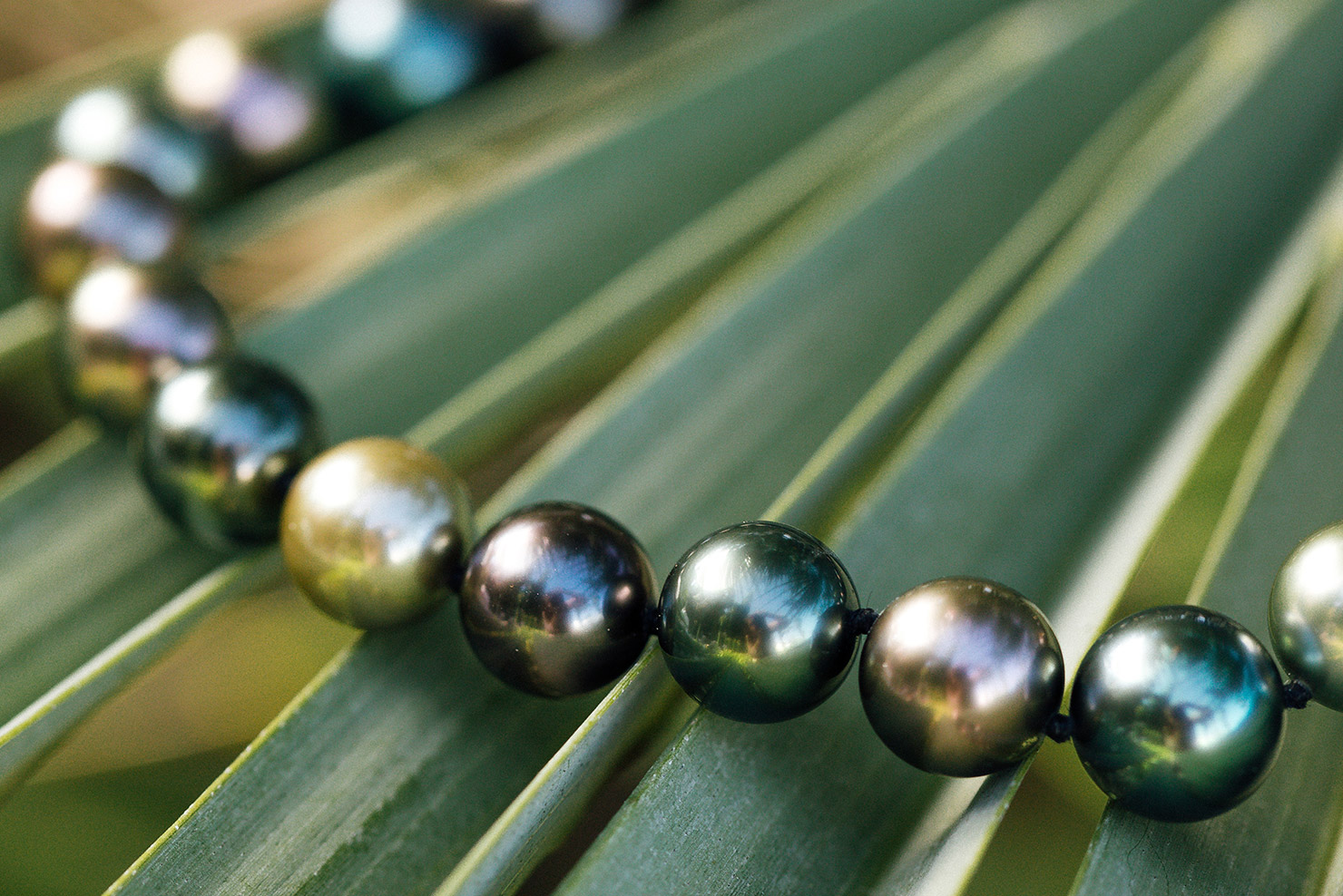 Midnight Oceans: The Complete Guide to Tahitian Pearls - Global ...